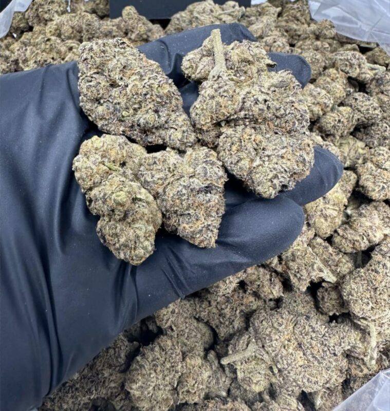 White Apple Tartz strain - best White Apple Tartz strain 1